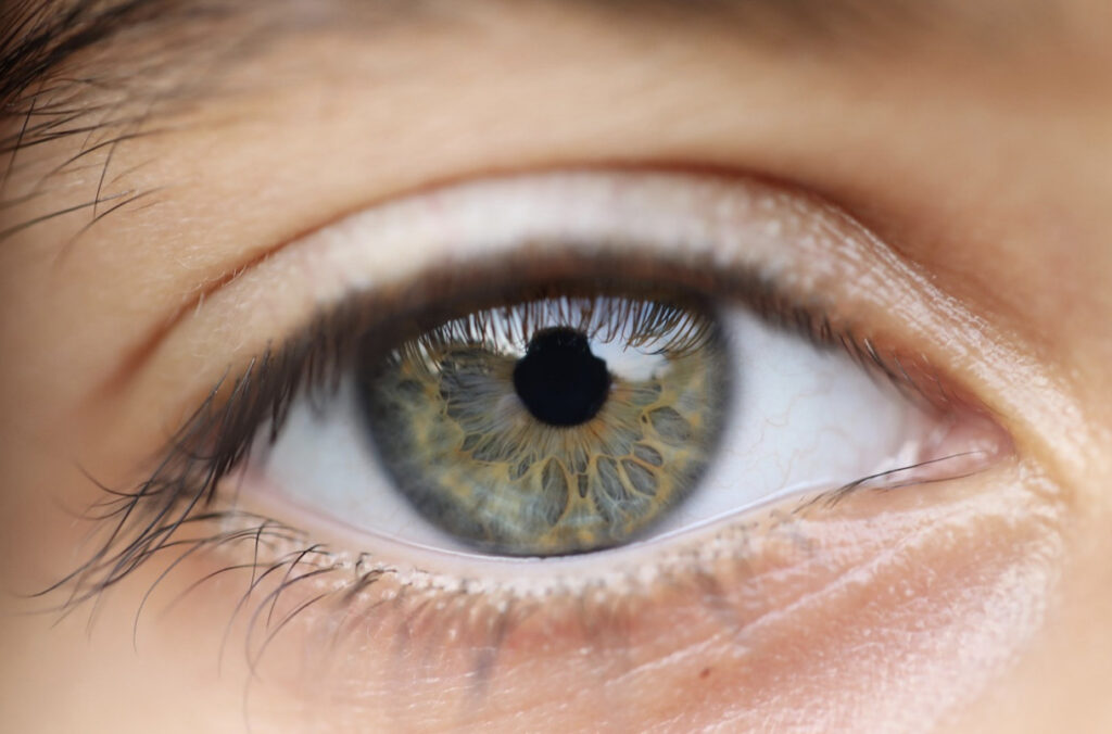 Beyond Vision: How Holistic Wellness Supports Long-Term Eye Health ...